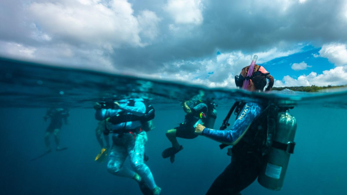 Diver Membership | PADI